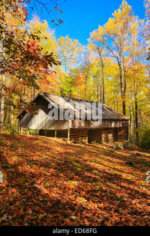 John Messer Farm, Porters Creek Trail, Greenbrier Area, Great Smoky ...