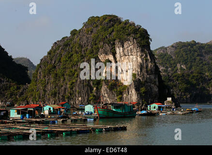 Floating fishing village and fishing boats in Cat Ba Island, Vietnam ...