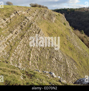 Winter Sun on Cliff Edge of Burrington Combe, Somerset Mendip Lodge ...