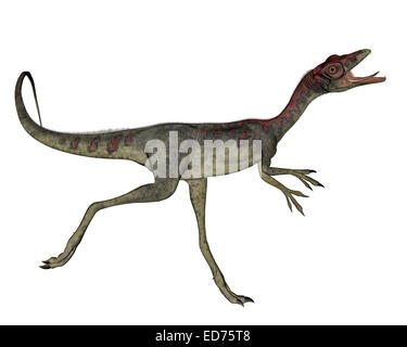 Compsognathus, side view Stock Photo - Alamy