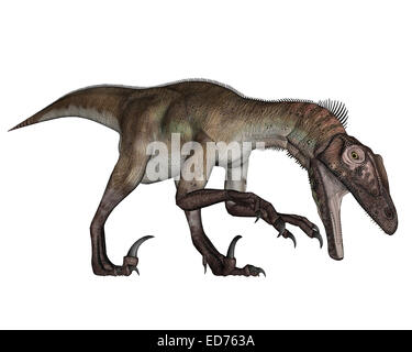 Utahraptor dinosaur, side view Stock Photo - Alamy