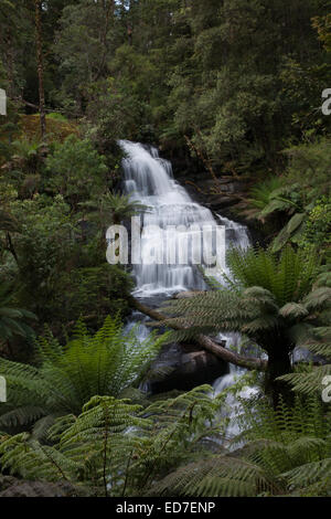 Triplet Falls, Australia, Victoria, Great Otway, national park ...