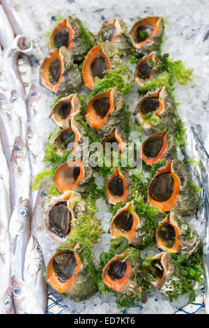 Snails for sale on market stall, Ghana Stock Photo - Alamy