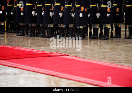 Guard of honor soldiers and red carpet during an official reception ...