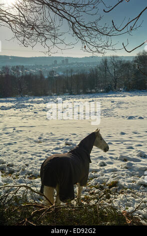 The view from Loxley Common looking towards Stannington in Sheffield ...