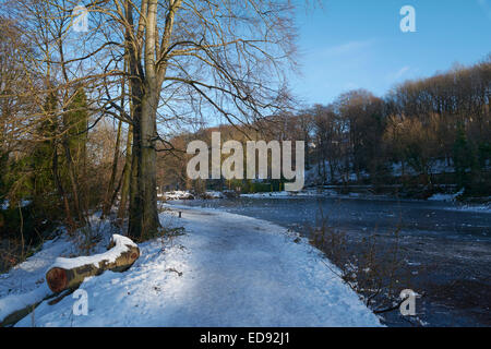 Icy frozen pond in the Rivelin Valley - Sheffield, England, UK Stock ...