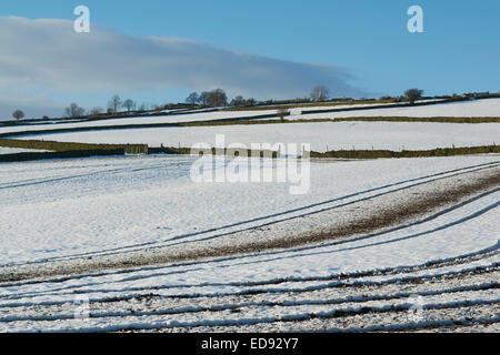 Snowy Fields at Parkside Farm, Stannington, England, UK Stock Photo - Alamy