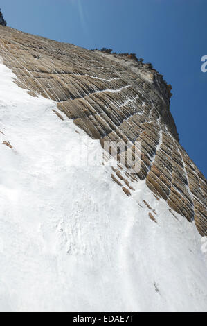 Low angle view of Checkerboard Mesa framed by trees Stock Photo - Alamy