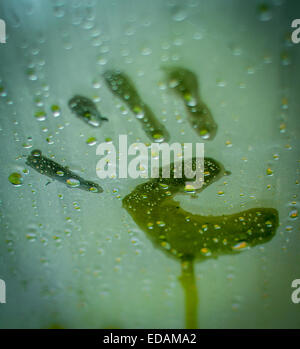 Handprint on a steamy window Stock Photo - Alamy