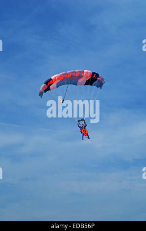 Parachutists - 2014. Tandem in flight Stock Photo - Alamy