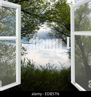 Trees branches frame beautiful green leaves against clear blue sky ...