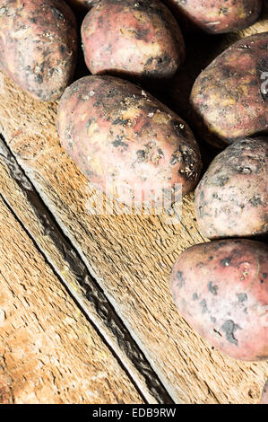 Fresh red potatoes on wooden board with garlic oil bottle in background ...