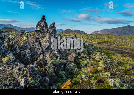 Berserkjahraun lava field in Snaefellsnes peninsula, Iceland Stock ...