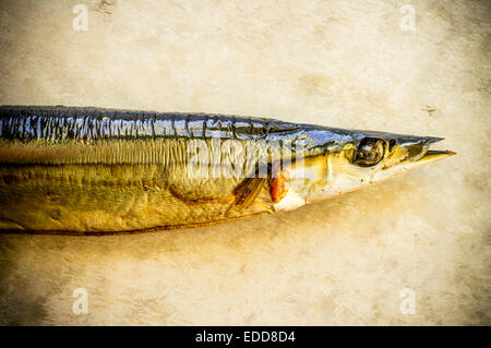 Bloater smoked fish saury top view Stock Photo - Alamy
