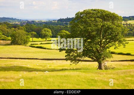 Nunnery Walks. Kirkoswald Eden Valley, Cumbria, England, United Kingdom ...