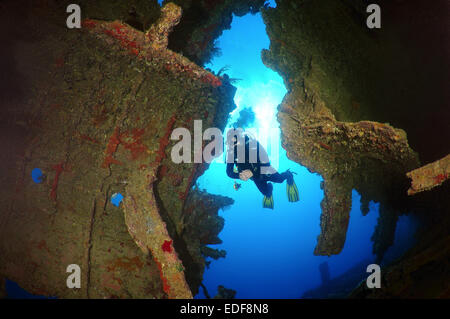 Diver on swims in the hold of the shipwreck "SS Dunraven", Red Sea ...