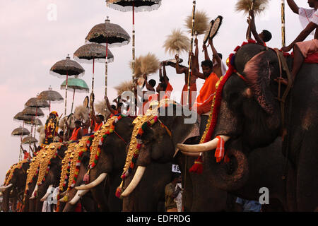 Ornamented elephant in a procession to mark the end of the Pooram ...