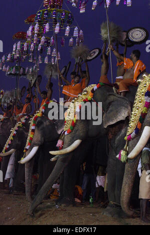 Ornamented elephant in a procession to mark the end of the Pooram ...