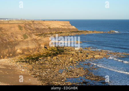 Cliffs and coastline at Ryhope looking north towards Sunderland Stock ...
