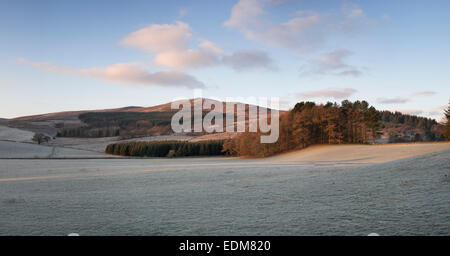 Bowhill House, Bowhill estate, Selkirk, Scottish Borders, Scotland ...