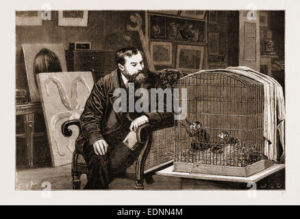 MR. FRANK BUCKLAND Stock Photo - Alamy