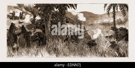 THE REBELLION IN THE TRANSVAAL, SOUTH AFRICA, 1881: NEWCASTLE, THE ...