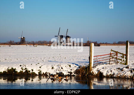 Winter landscape in a Dutch polder, Alblasserwaard, South-Holland ...