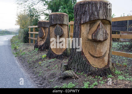 funny faces on tree stump in spring forest Stock Photo - Alamy