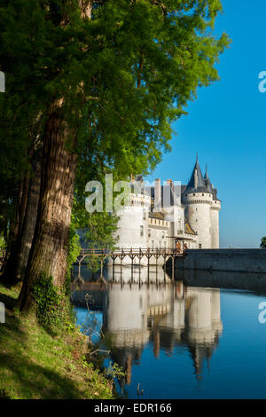 The Sully's Castle, Sully Sur Loire, Loiret, Centre, France Stock Photo ...