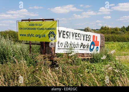 Red tractor label on British Assured Food Standards vegetables in the ...