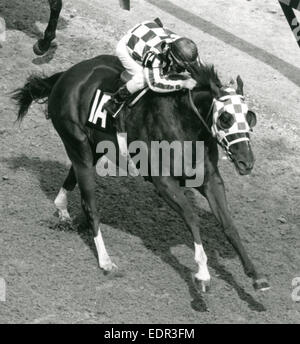 Secretariat, with jockey Ron Turcotte up, leads the field of Belmont ...