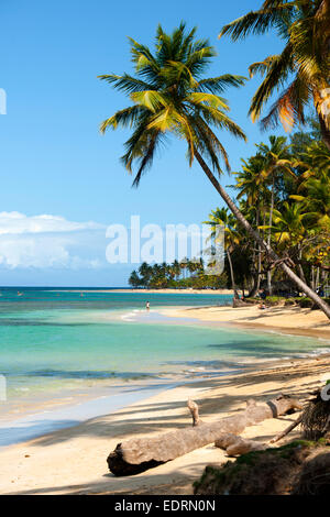 Dominikanische Republik, Samana Halbinsel, Strand bei Las Galeras Stock ...