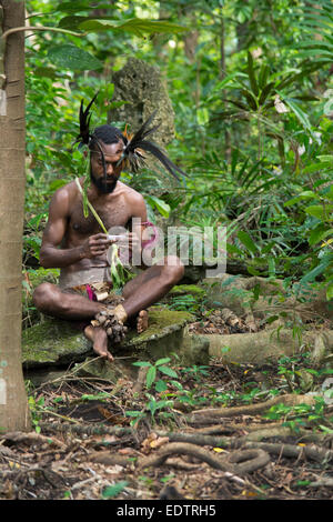 Melanesia, Vanuatu, Rano Island. Village man wearing feather headdress ...
