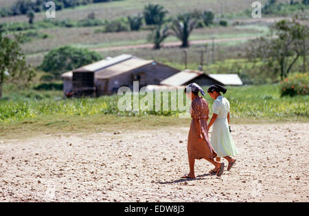Spanish Lookout Mennonite settlement in Belize, Central America, June ...