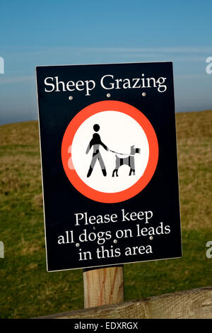 Warning sheep grazing sign on a five-barred gate at Cantley, Norfolk ...