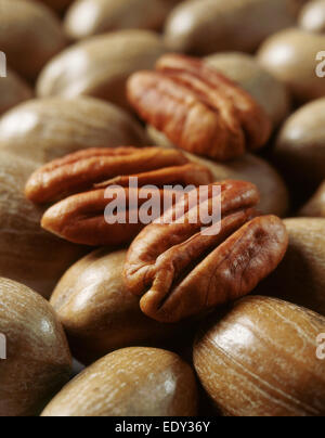 Pecan nuts, with and without shells Stock Photo - Alamy