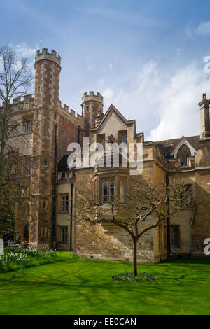 Descendant of Newton's Apple Tree, Trinity College, Cambridge, UK Stock ...