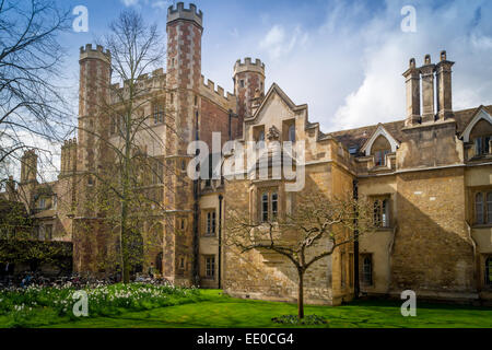 Descendant of Newton's Apple Tree, Trinity College, Cambridge, UK Stock ...
