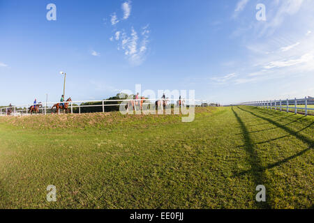 Race horse jockey riders training sand grass track landscape early ...