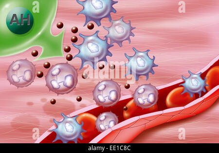 WOUND HEALING, ILLUSTRATION Stock Photo - Alamy