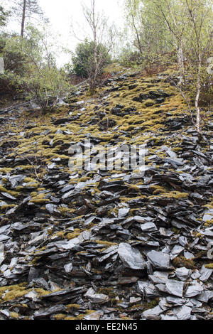 Slate abandoned in spoil heap after closure of industrial mining ...