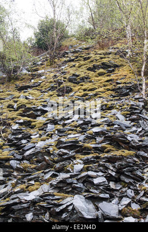 Slate abandoned in spoil heap after closure of industrial mining ...