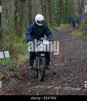 Motorcycle competitors on the Fingle Section of the 2013 Exeter Trial ...