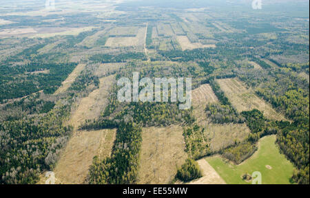 aerial view above clear cutting forest, Canada Stock Photo - Alamy