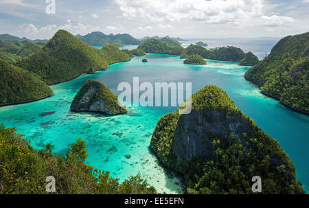 View at Wayag Islands, Raja Ampat islands near West Papua, Indonesia ...