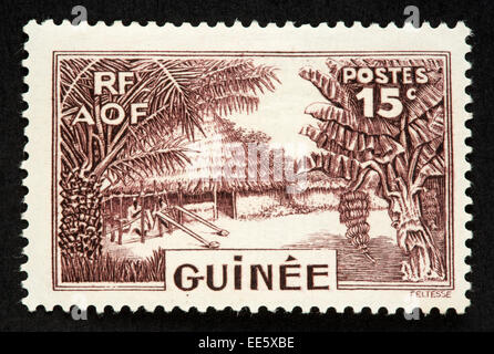Close up of Guinea postage stamp, featuring Marginella strigata, a ...