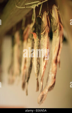 Smoked pike, Baranja, Croatia Stock Photo - Alamy