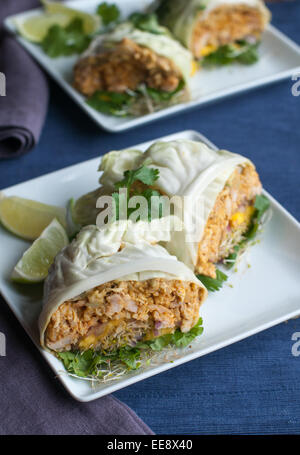 Cabbage wrap with curry chicken Stock Photo - Alamy