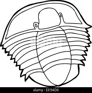 Trilobite - hand drawn illustration of extinct arthropod | realistic ...