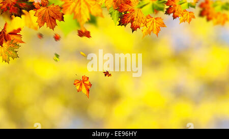 Beauty autumnal banner with falling leaves for your design Stock Photo ...